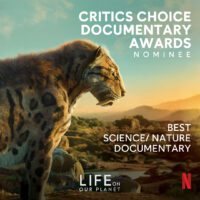Life on Our Planet nominated for a Critics Choice Documentary Award ...