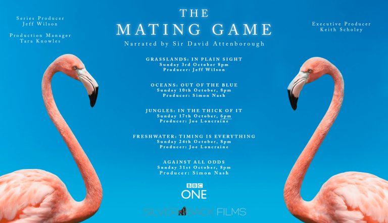 The Mating Game - our 5 part series is on BBC1 from October 3rd, 2021 ...